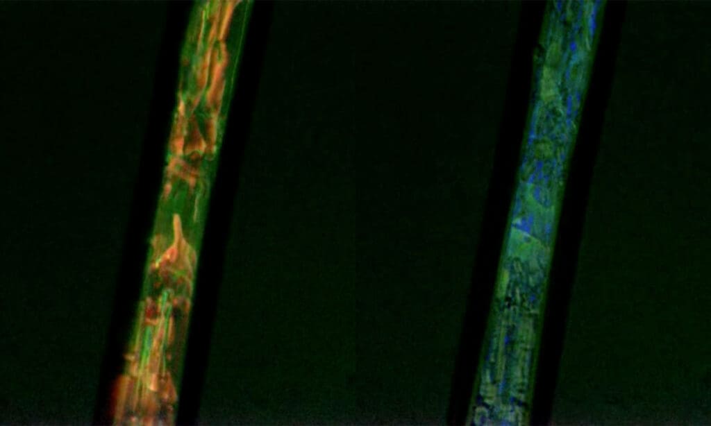 As the temperatures of ‘smart fabrics’ change, so do their colors – VCU ...