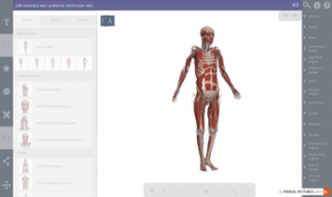 Anatomy.TV: Explore the human body in 3D – VCU Libraries: Inside The ...