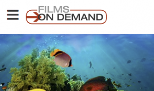 Films and Videos – VCU Libraries: Inside The Collection